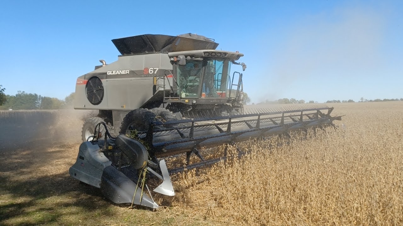 10/3/2022 Gleaner S67 haveresting Soybeans - YouTube