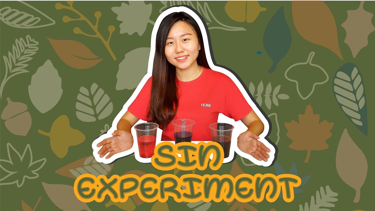 Sin Experiment - YouTube