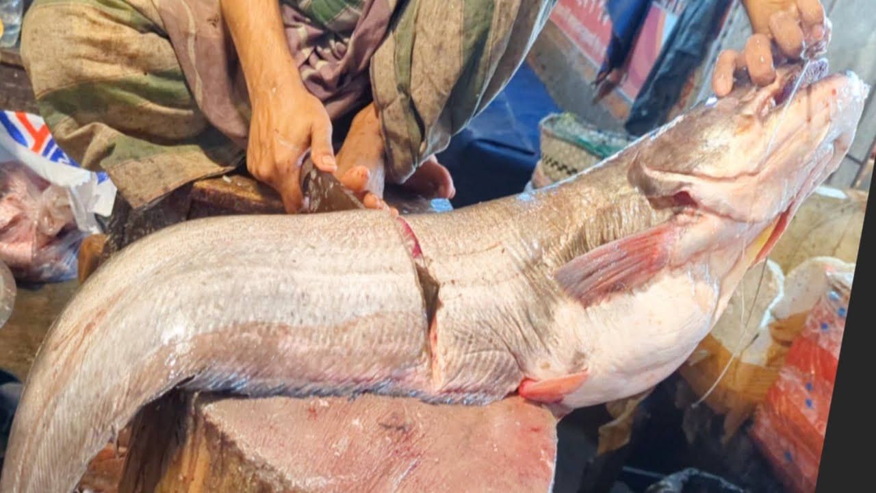 Expensive Fish Cutting Skills | Giant Boal Fish Cutting Skills In BD ...