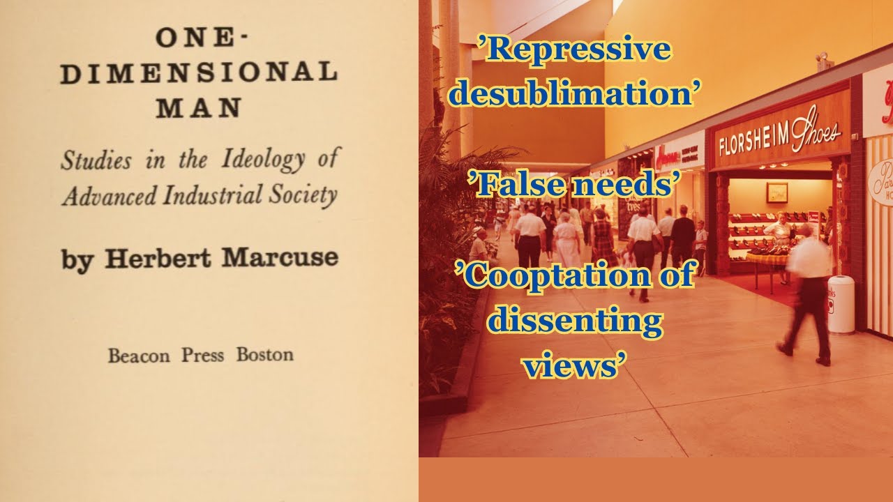 Review of Herbert Marcuse's book 'One-dimensional man' - YouTube