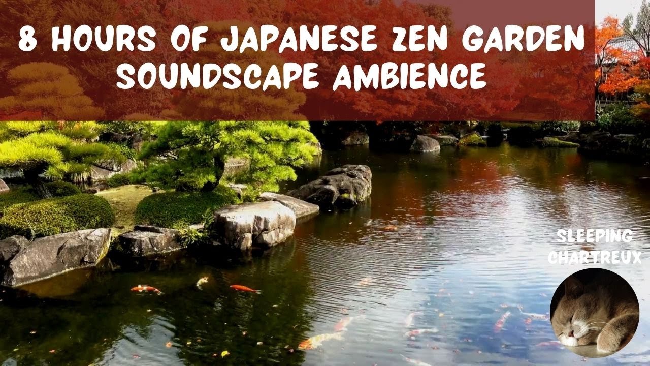 Japanese Zen Garden Koi Pond Ambience Calm Flowing Water - YouTube