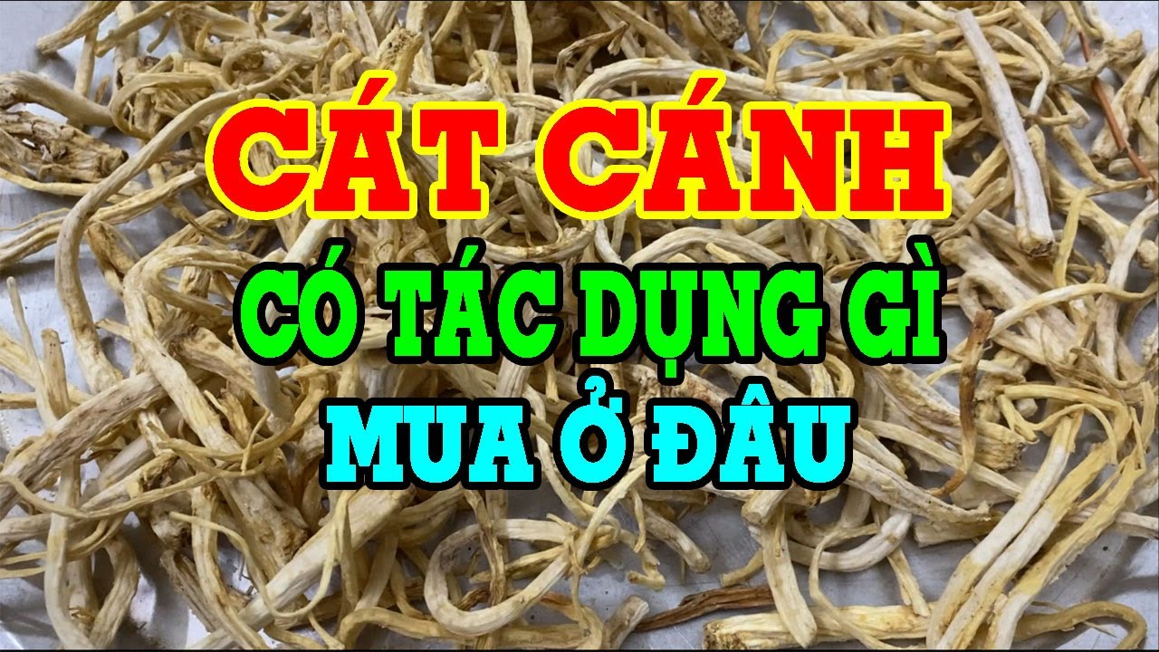 Cát cánh - Cát cánh dược liệu - Cát cánh có tác dụng gì - Cát cánh mua ...