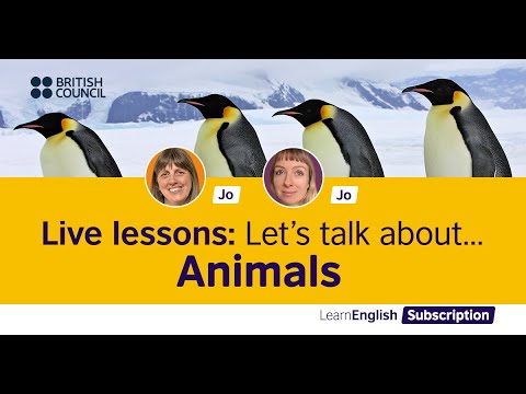 LearnEnglish Subscription LIVE Lesson: Animals - YouTube