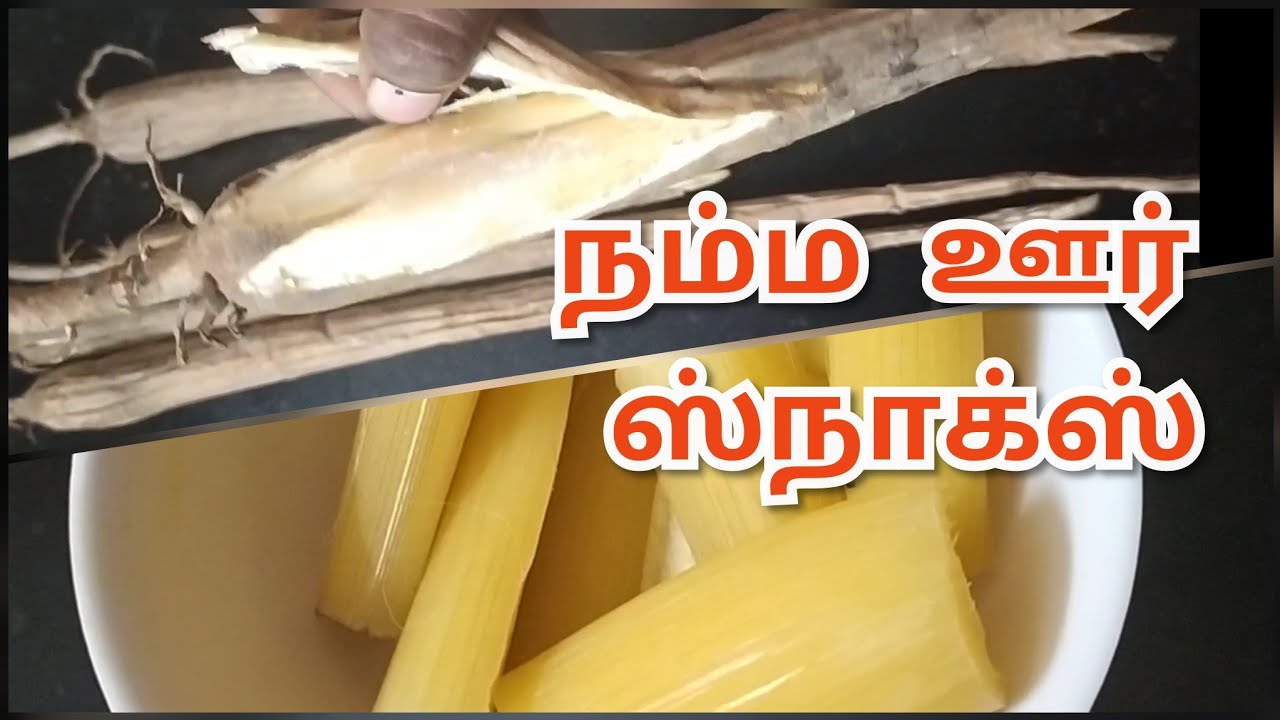 Panam Kilangu | Palm Sprouts | Simple Village Snack - YouTube