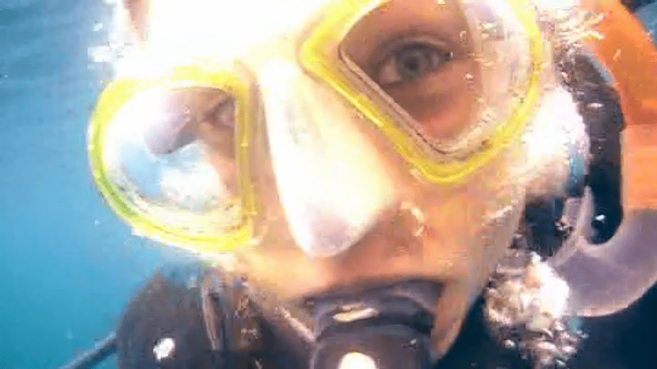 2008 Koh Tao Dive Video (by Ed) - YouTube