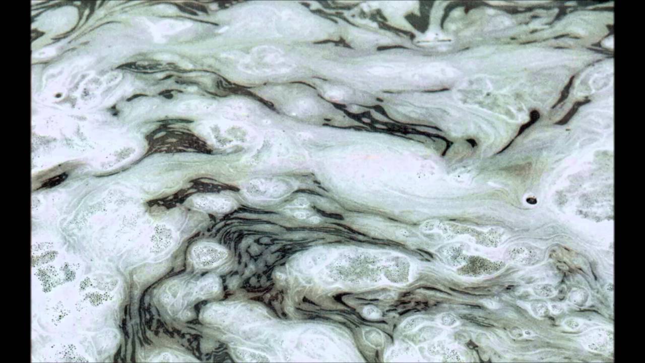 Prisma - The Rabbit Caravan - YouTube