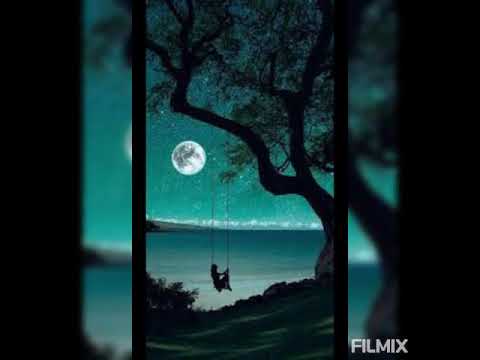 Dostum Dostum 👀👀