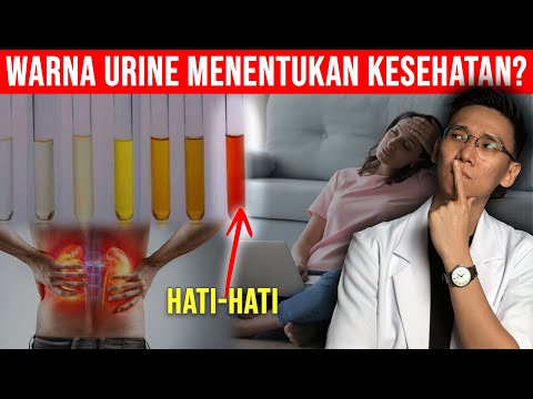 CEK WARNA KENCING (URINE) mu. Bisa Jadi Indikator Kesehatan / Penyakit. Dehidrasi / Sakit Ginjal?