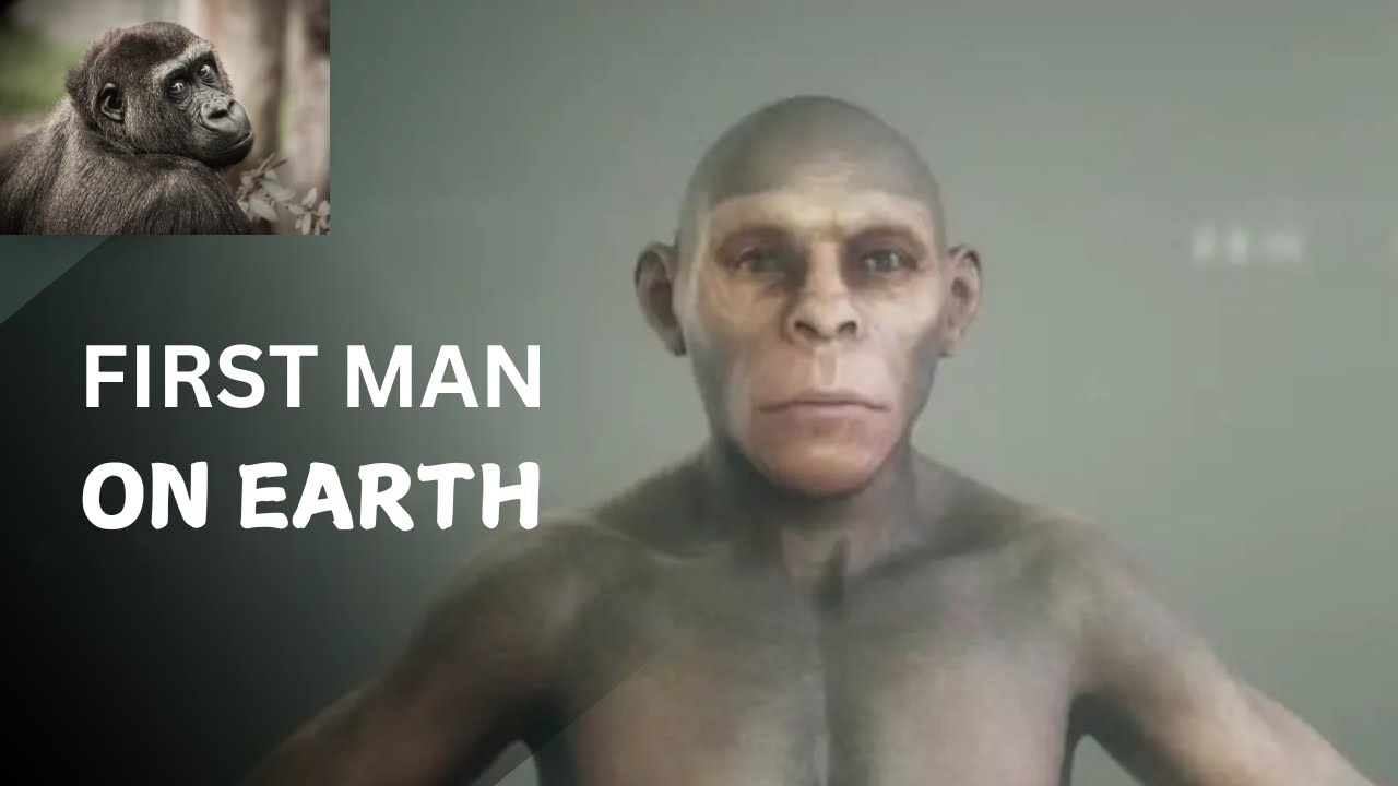 “From Ape to Human: The Untold Story of Our Evolutionary Journey” - YouTube