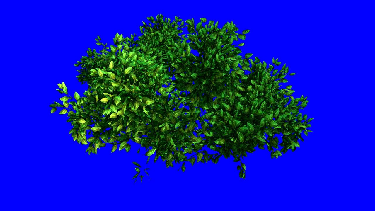 Top 12 Grass green screen animations effects HD footage | chroma key ...