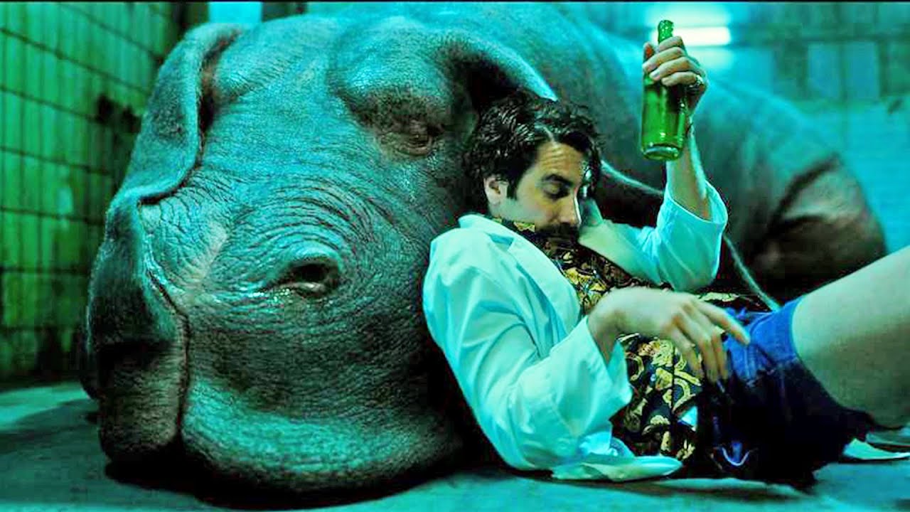 Piglet Was Genetically Modified into Giant Pig for Meat Produce |OKJA ...