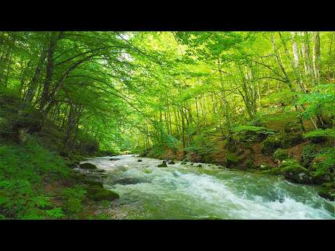 Healing Native American Flute & Nature Sounds | Deep Sleep, Stress Relief, Emotional Balance