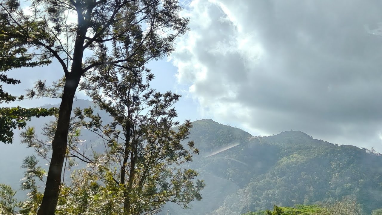 Bonacaud peak. part of Agasthyarkoodam.There is a tea estate in ...