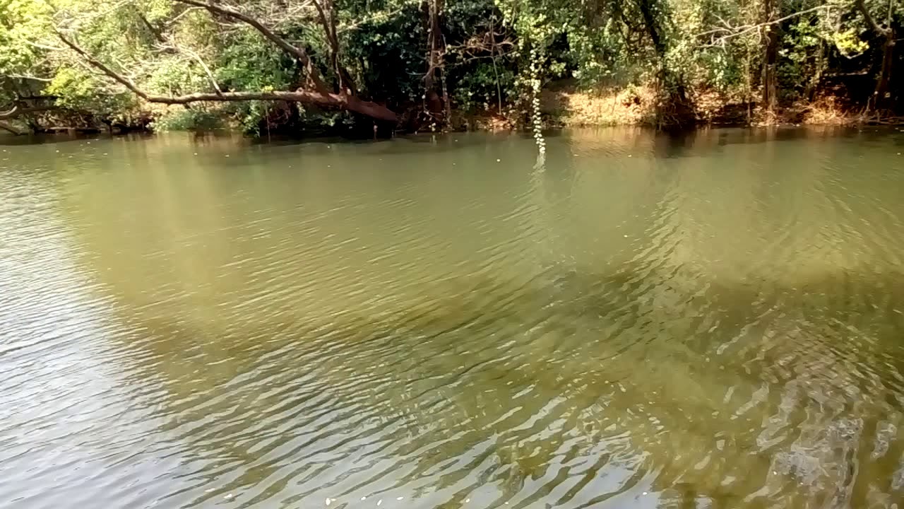 Kakkodi near by rivershore - YouTube