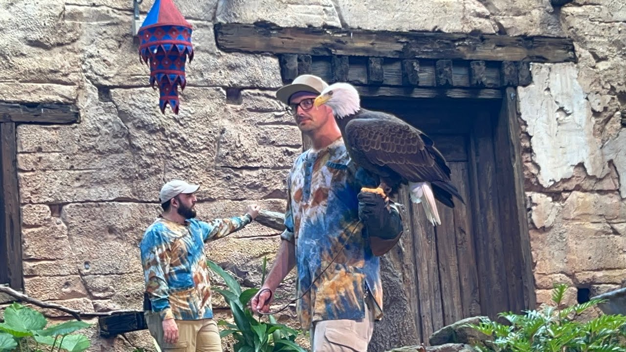 Dan the Star Man presents Feathered Friends in Flight in Disney's ...