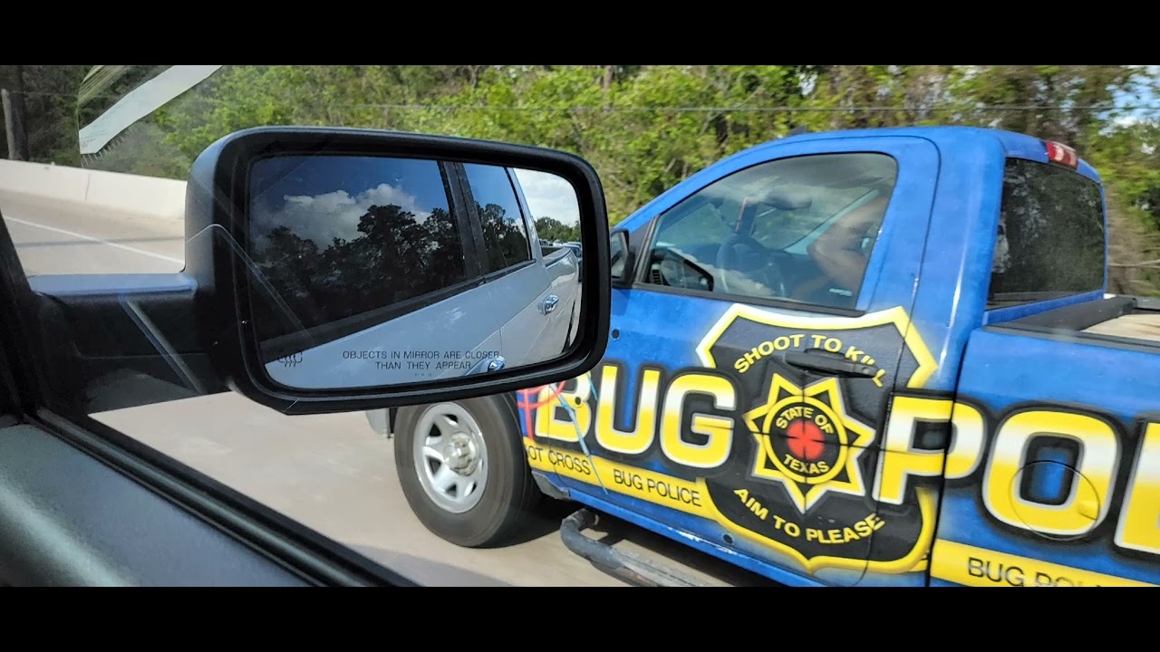 Bug Police - YouTube