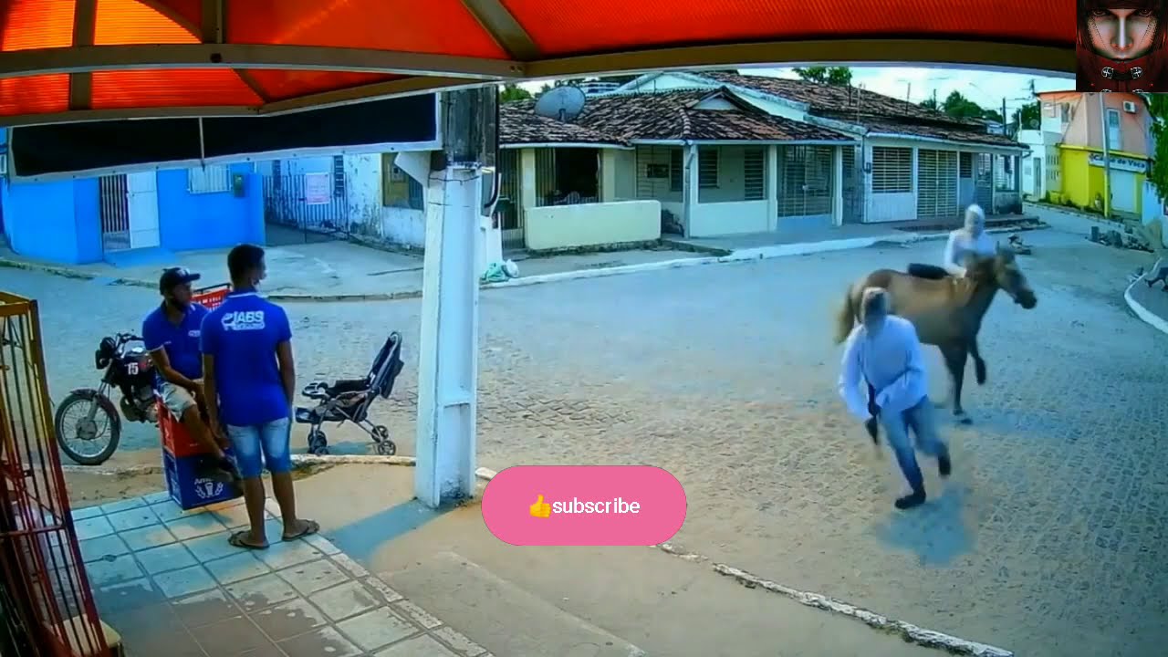 Robbers rob a store on a horse in brazil in 2020| Daku style robbery in ...
