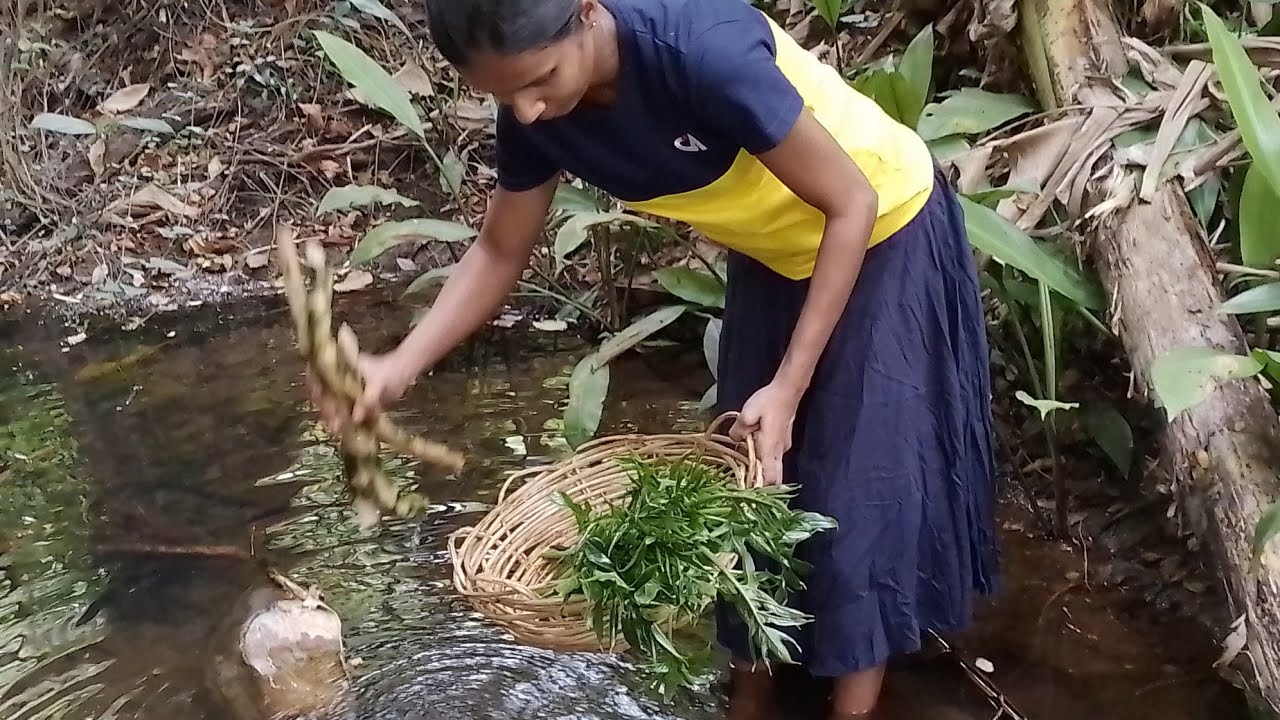 A day with Kohila Recipes / 🍲 Gami Our nutritious meal/Wonder village ...