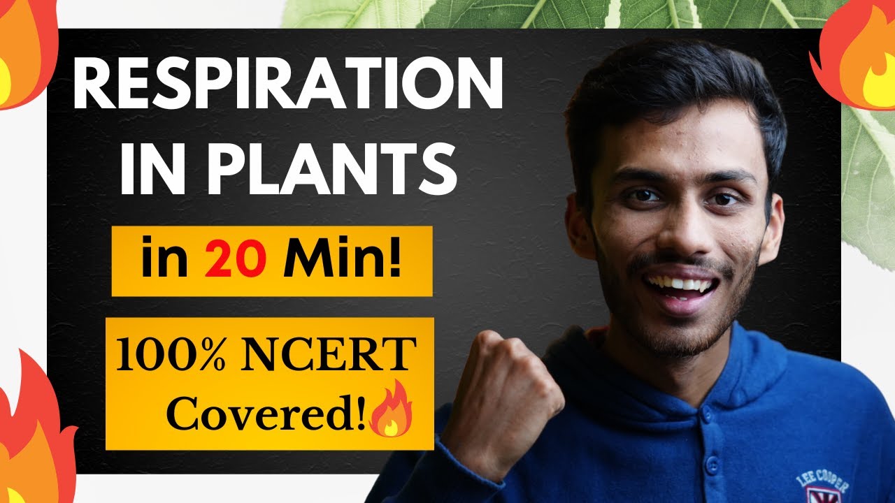 Respiration in Plants FAST One SHOT!🔥 | Full Revision in 20 Min | NCERT ...