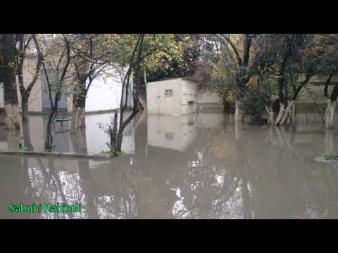 Görün yağış həyəti nə günə salıb? - ROMANTİK GÖRÜNTÜ