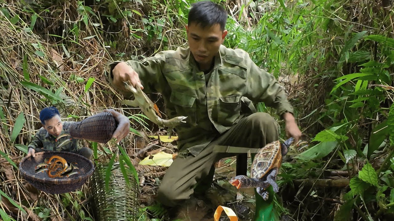Make some simple and easy traps. Set them in the woods and you will be amazed at the results ...