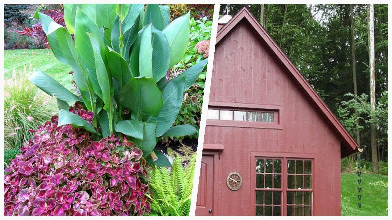 75 Pink Backyard Landscaping Design Ideas You'll Love 😊 - YouTube