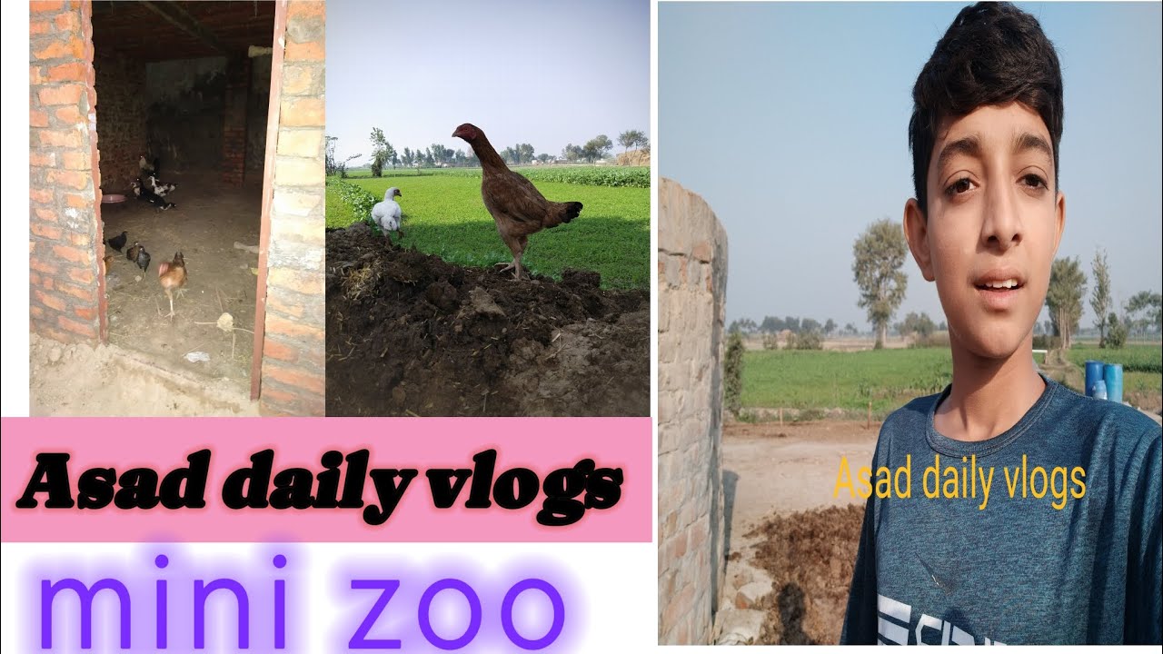 My new vlog Rana Mini zoo - YouTube