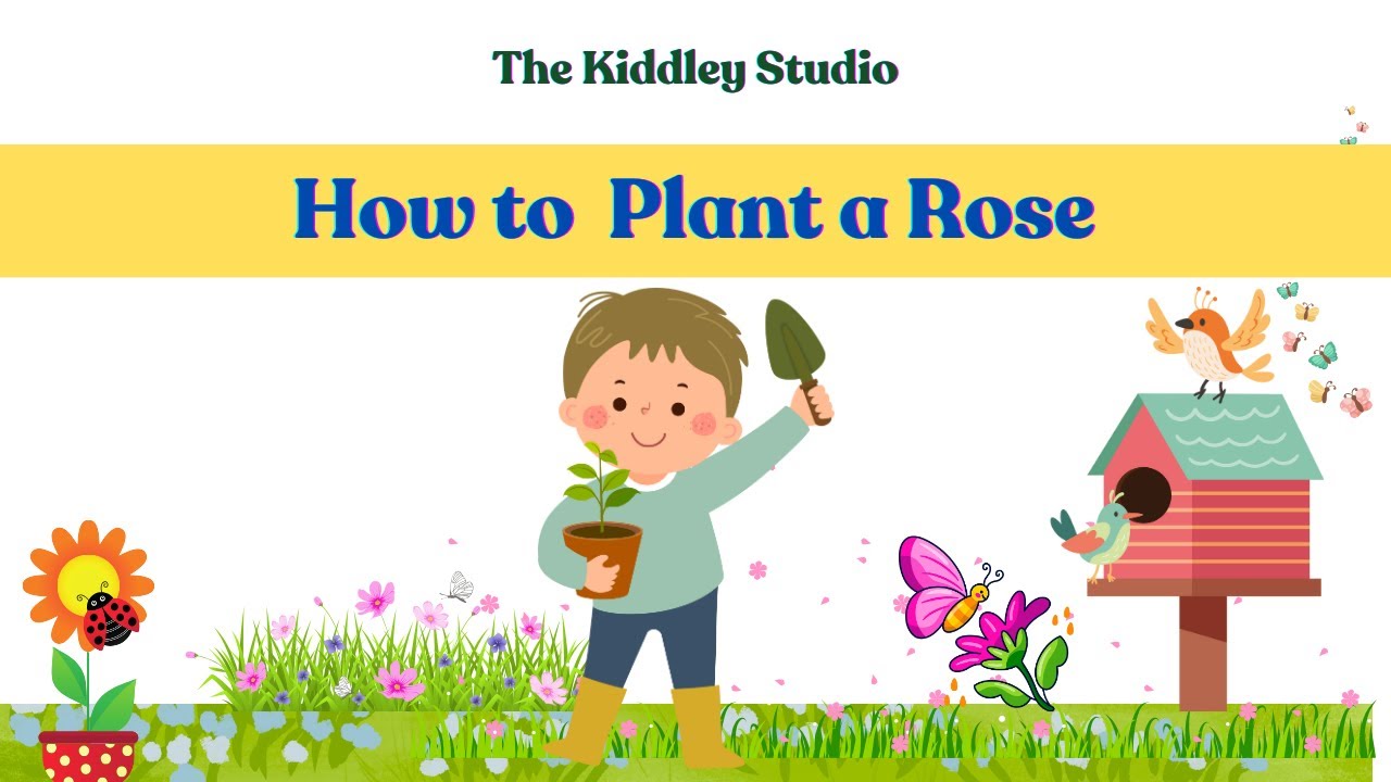 How to Grow Rose Plant /Easy Garden Activities for Kids/planting with ...