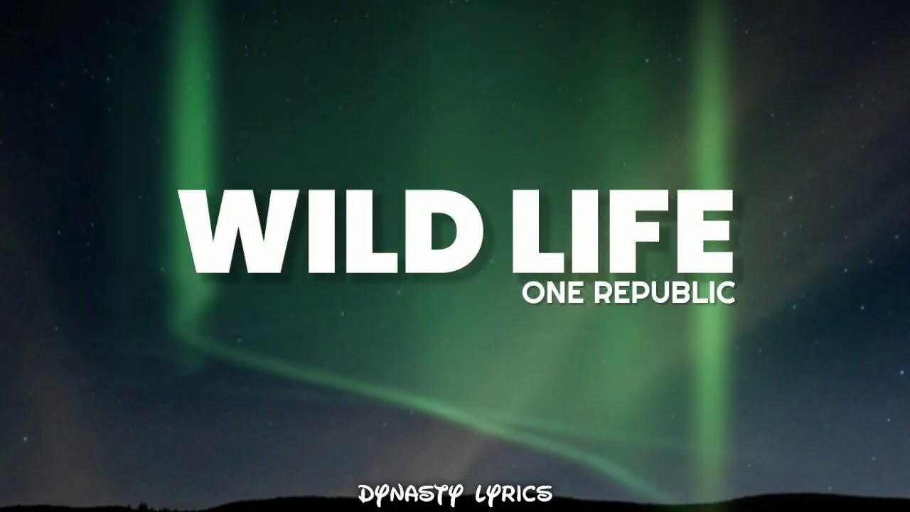 One Republic - Wild life (lyrics) - YouTube