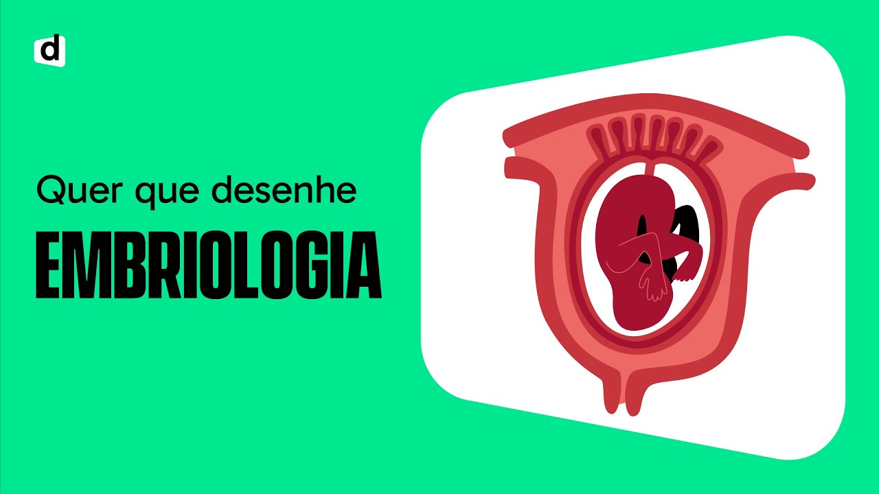 EMBRIOLOGIA | QUER QUE DESENHE | MAPA MENTAL - YouTube