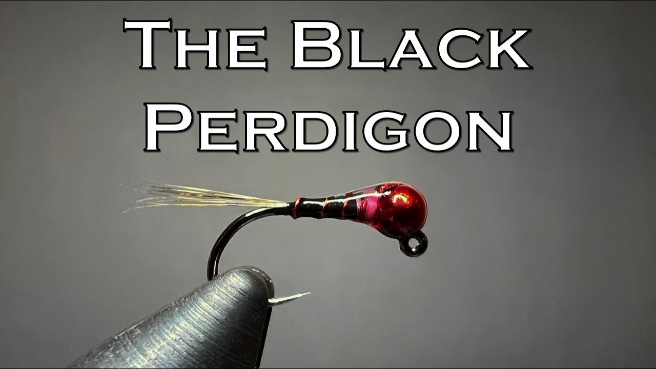 What Should I Call this Fly??? || A Black Perdigon || Fly Tying Tuesday ...