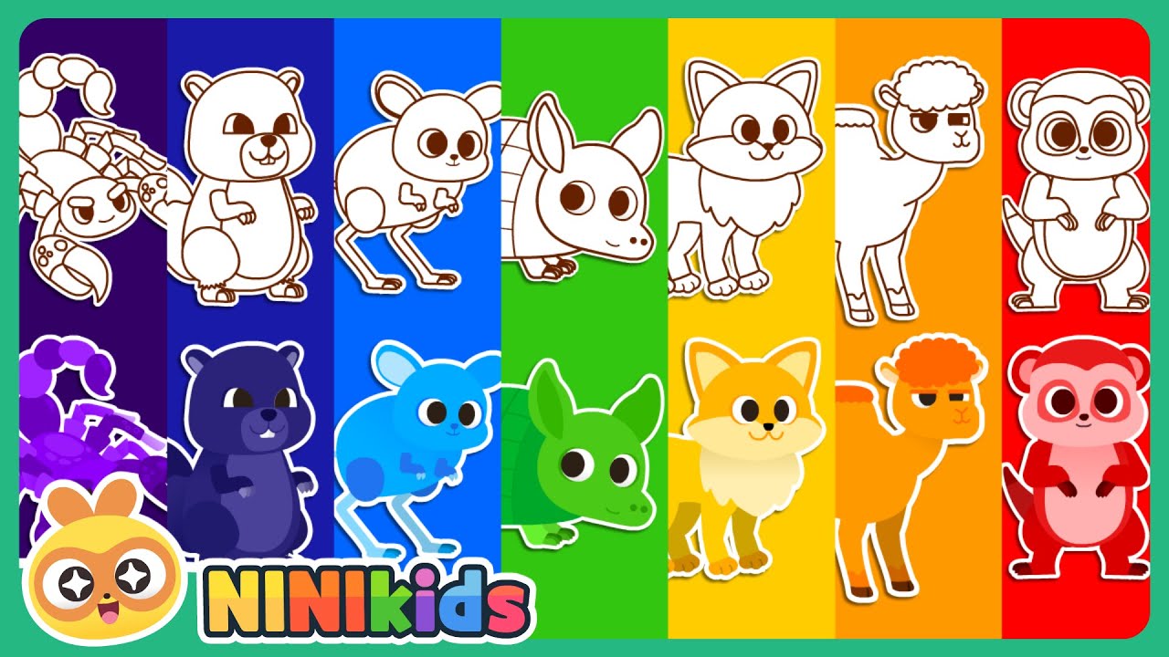 What color animal is it? | rainbow animals | Animals living in the ...