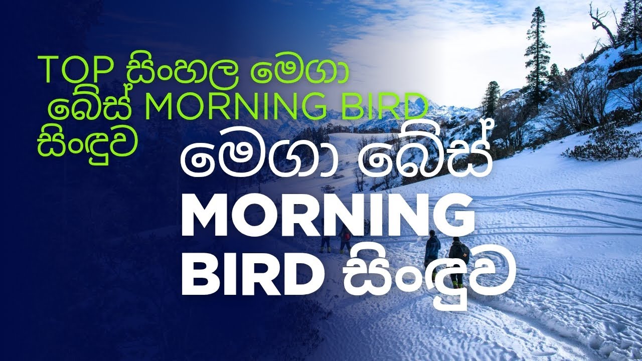 මෙගා බේස් | Morning Bird සිංඳුව | සිංහල - YouTube