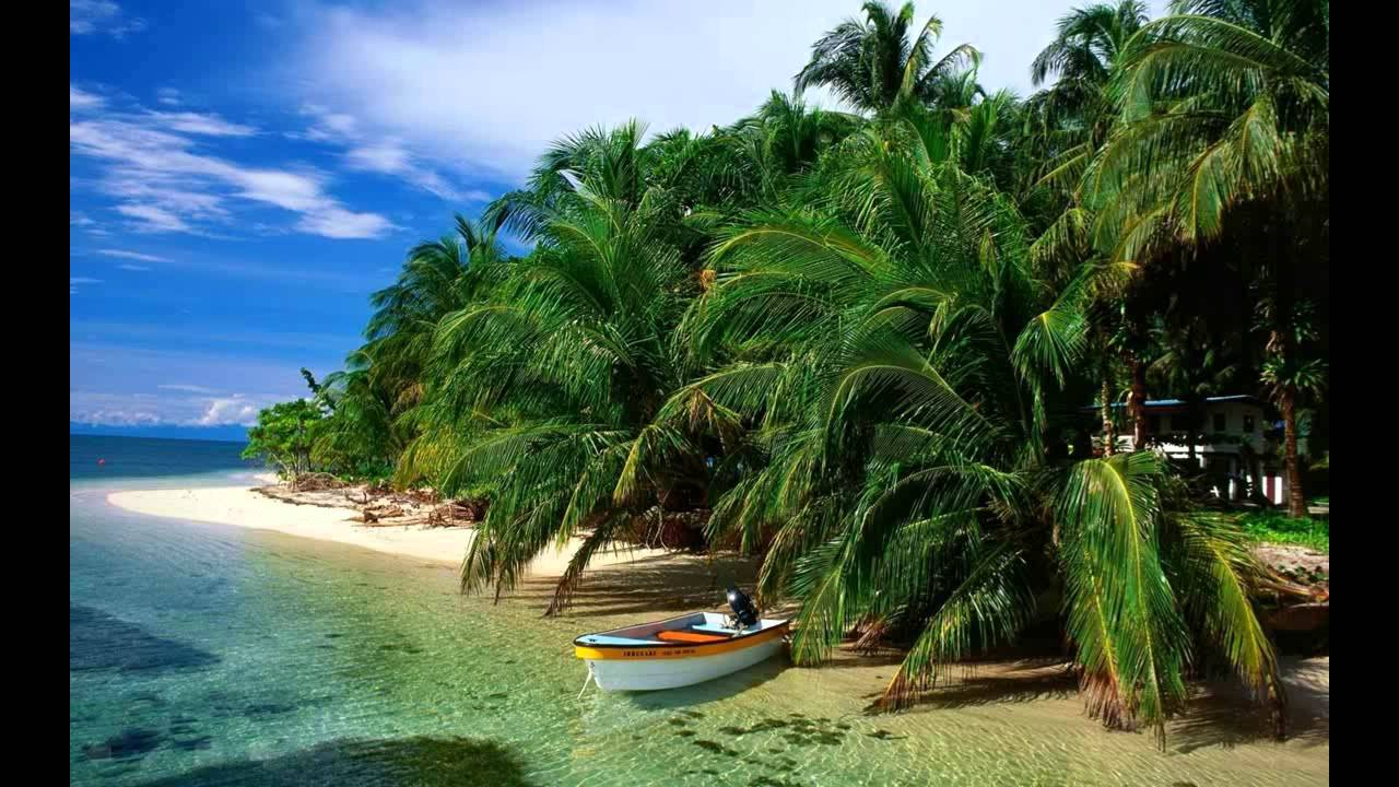 Paul Hardcastle ~ Hardcastle VII - YouTube