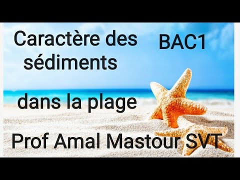 Caractère des sédiments dans la plage - YouTube