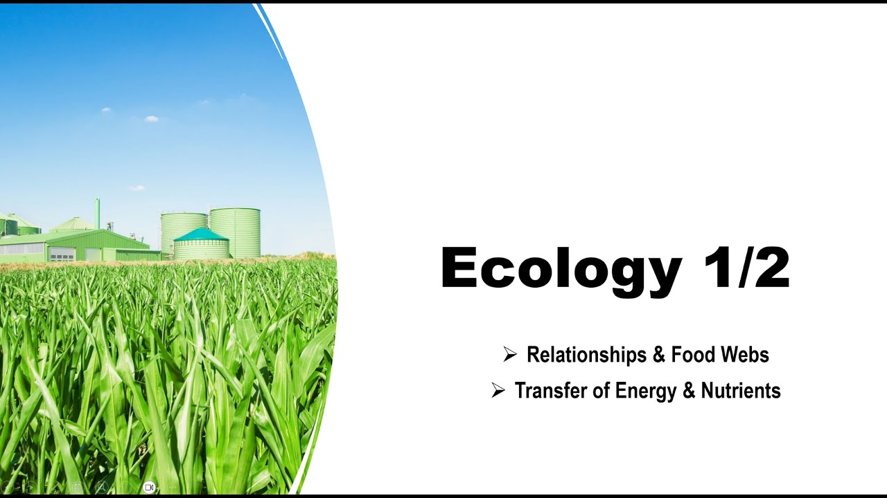 Ecology - Video 1 of 2 - YouTube