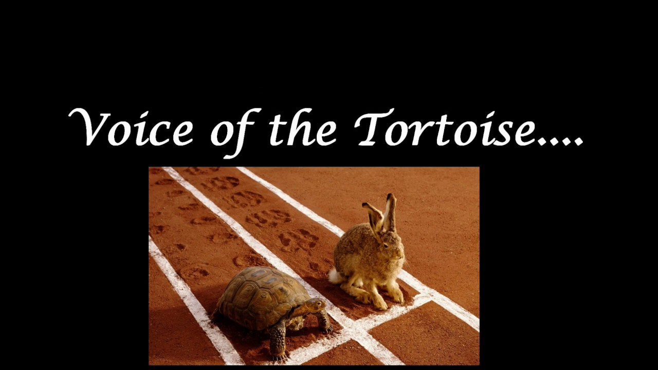 Voice of the Tortoise - Very Sad English Poem :-) - YouTube