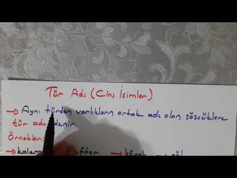 3. ve 4. sınıf Türkçe Tür Adı ( Cins İsimler )
