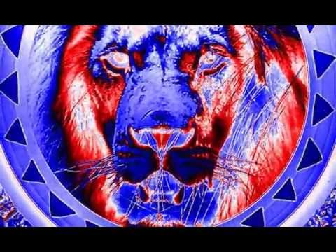 INSANE (*OFFICIAL VIDEO*) - YouTube Music