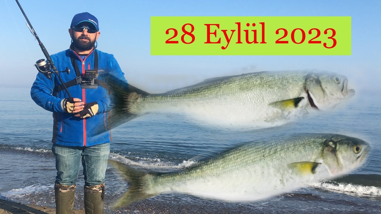 LÜFER BALIK AVI ATÇEK -SPİN #lüferavı #fishing #balıkavı #atçek #spin ...