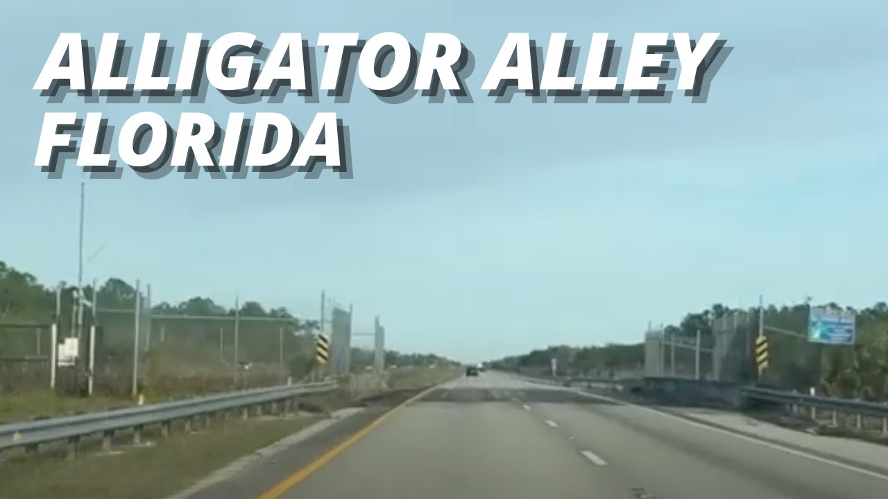 Aligator Alley - Driving through Florida West to East - YouTube