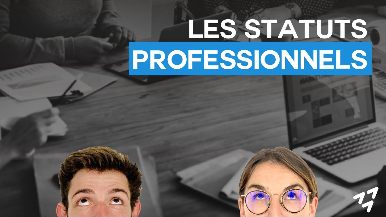 Les statuts professionnels : lequel choisir ? - YouTube