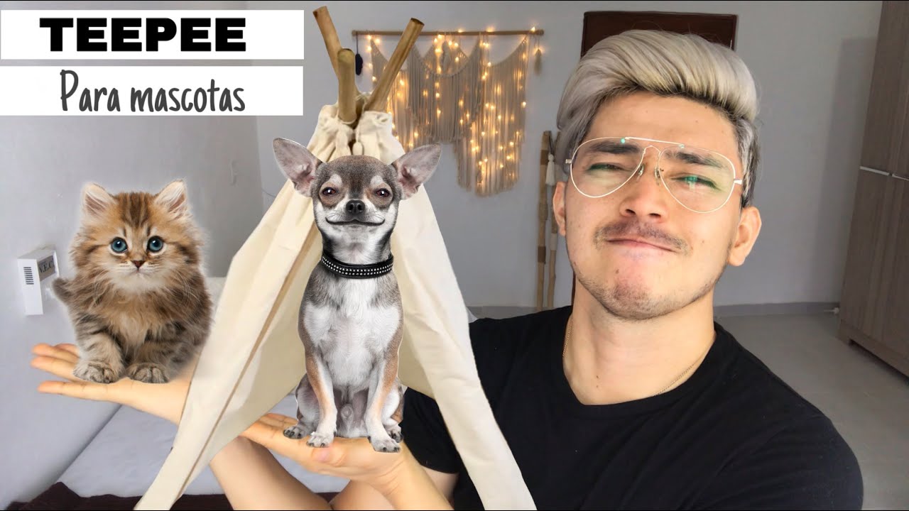 Como hacer un TEEPEE para mascotas SIN COSTURAS | Paso a paso ( DIY ...