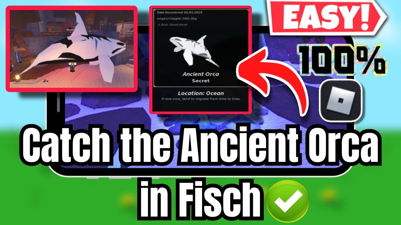 How to Catch the Ancient Orca in Fisch Roblox (Updated) - YouTube