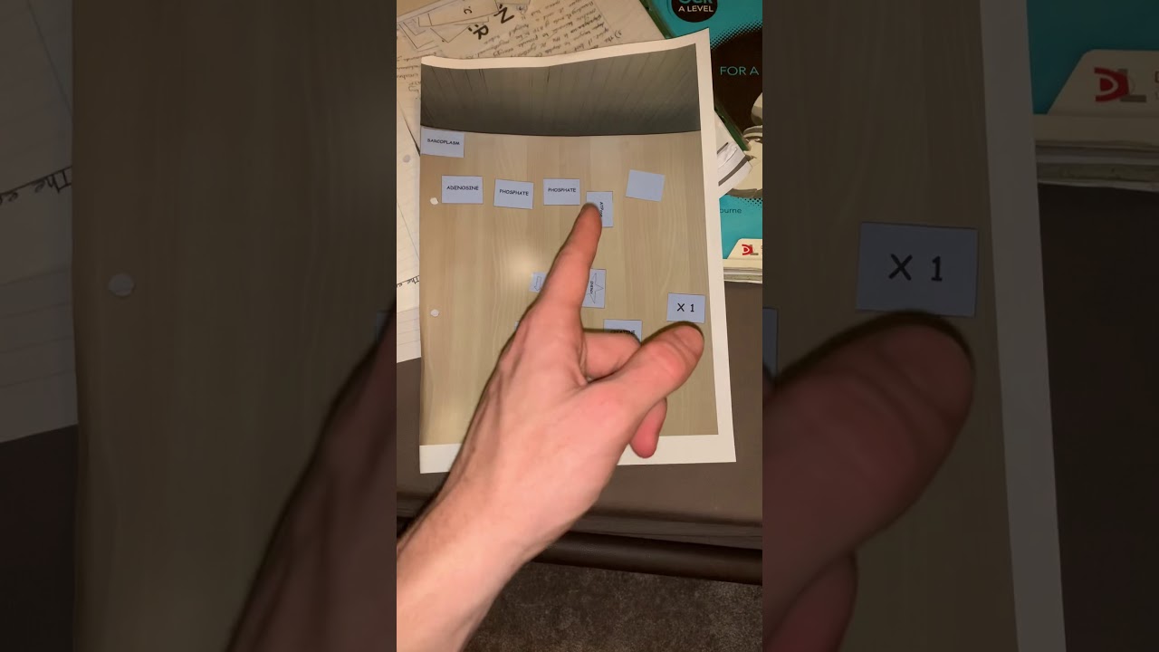 ATP-PC system - YouTube