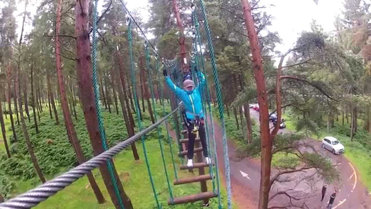 zipit forest dublin 2015 - YouTube