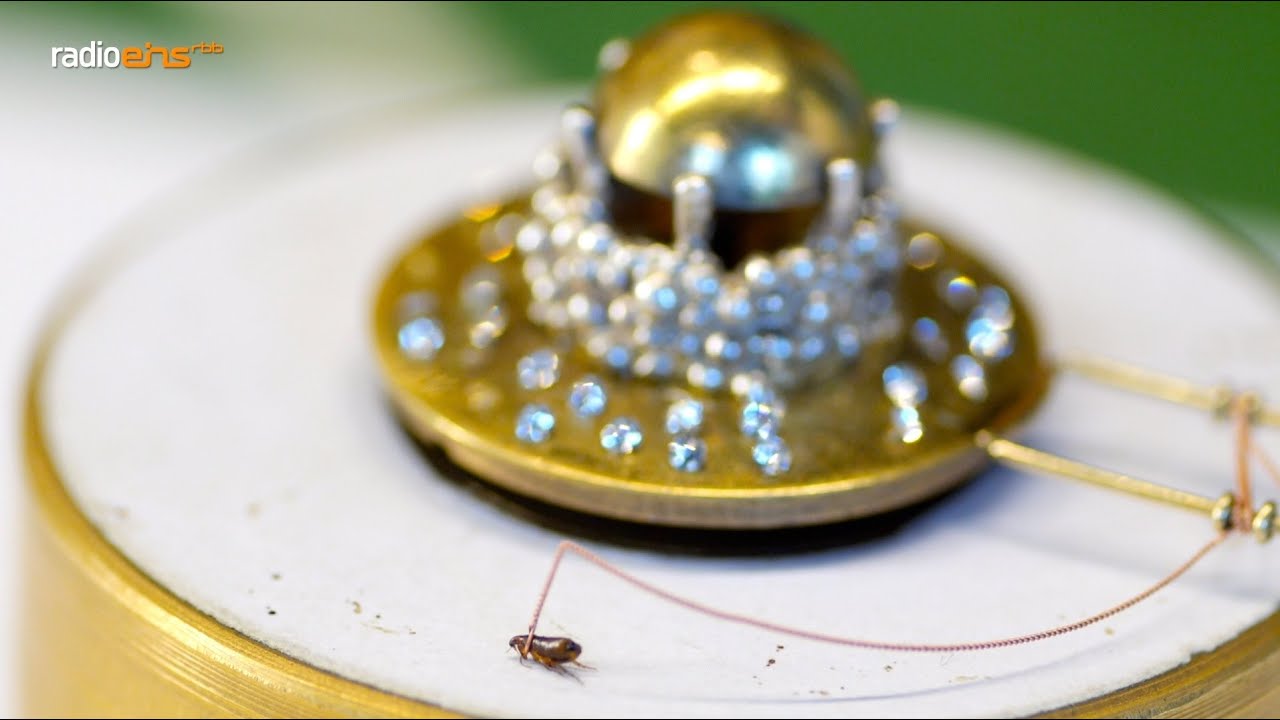 Europas einziger Flohzirkus - real european Flea circus - YouTube