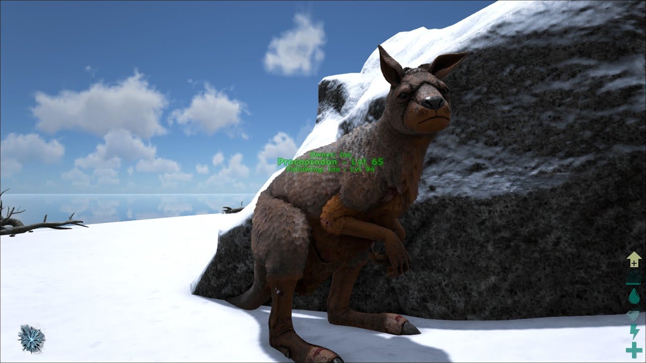 ark survival evolved amazing kangoroo update lets see - YouTube