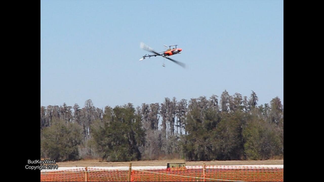 RC T-Rex Turbine Helicopter 3D - YouTube