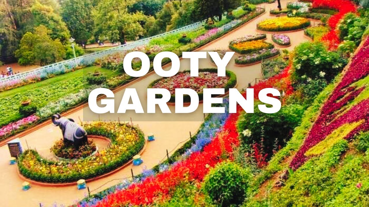 Ooty Botanical Gardens | A Paradise of Beautiful Flowers & Plants - YouTube